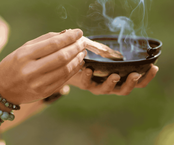 Palo Santo Wood Sticks | Uses & Benefits Guide